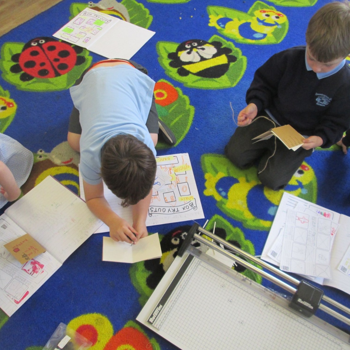 Robins Create Their Own 'Not A Box' Book - Dennington CEVCP School