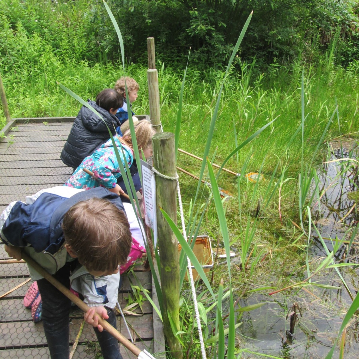 Wrens trip to Foxburrow Farm - Dennington CEVCP School