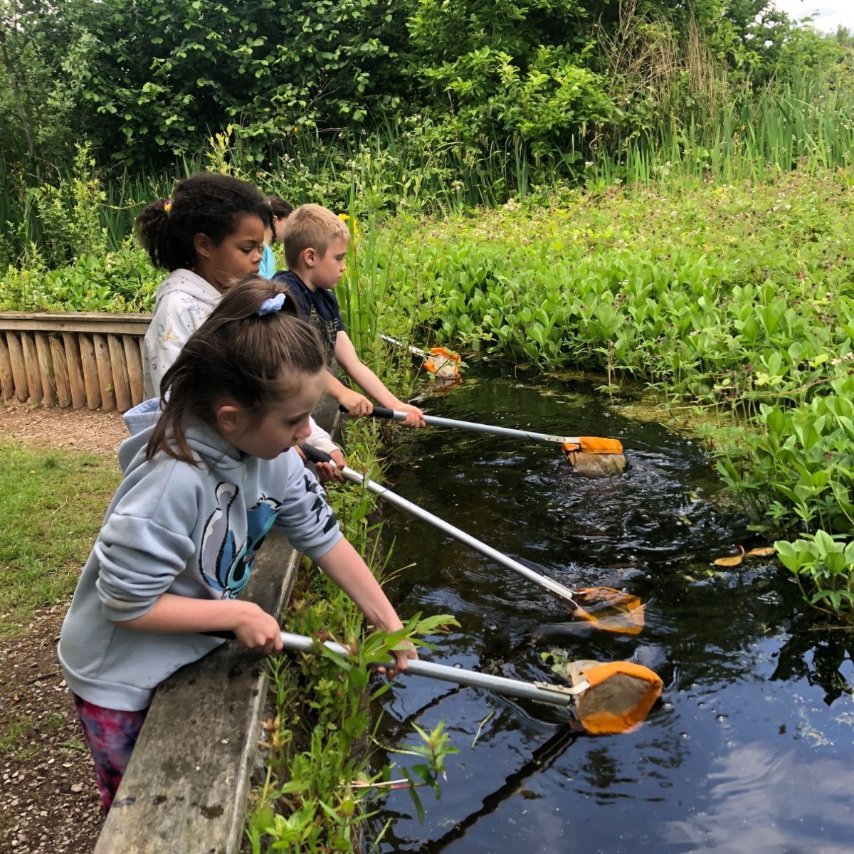 Wrens trip to Foxburrow Farm! - Dennington CEVCP School